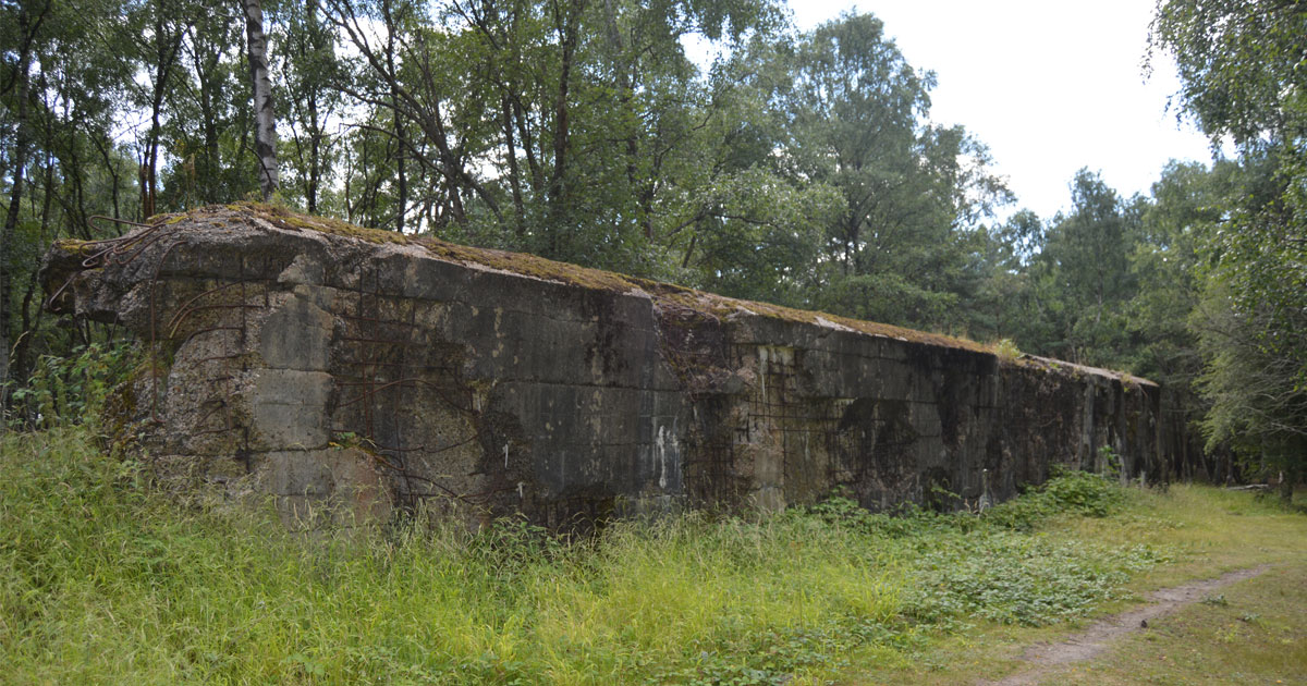 Hankley Common's Atlantic Wall, D-Day Practise Site » Normandy War Guide